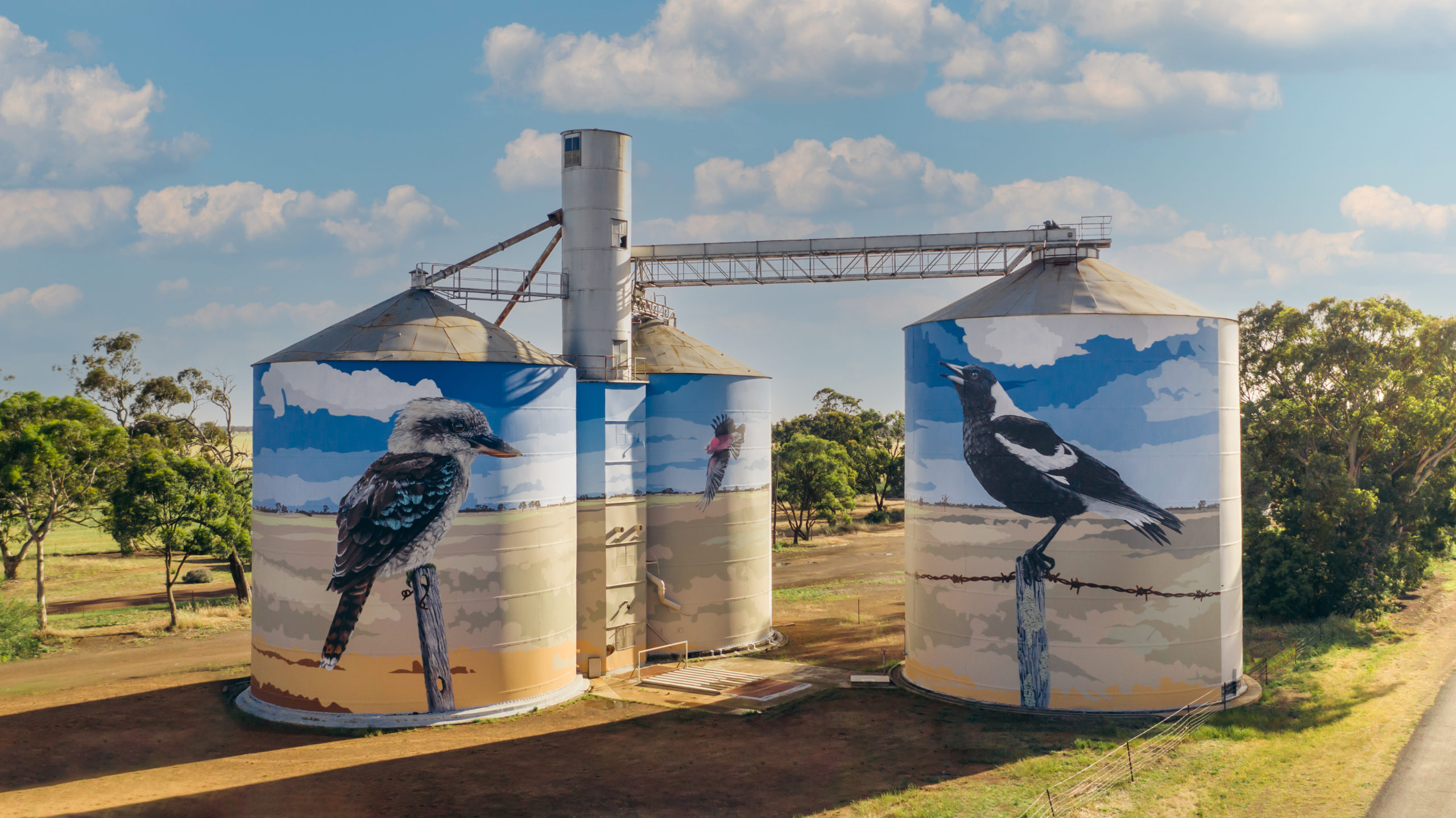 A Birds Eye View of Goroke - GrainCorp