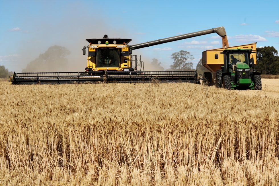 Best of the best: Harvest Photo Competition 2021 winners - GrainCorp