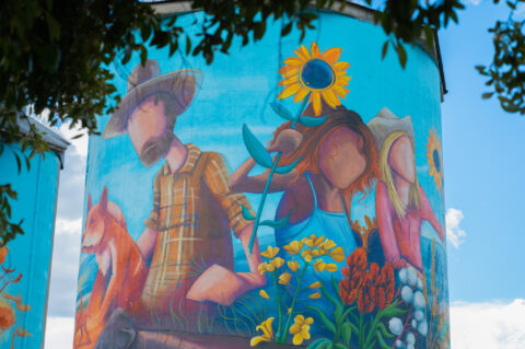 Katamatite joins the iconic Australian Silo Art Trail - GrainCorp