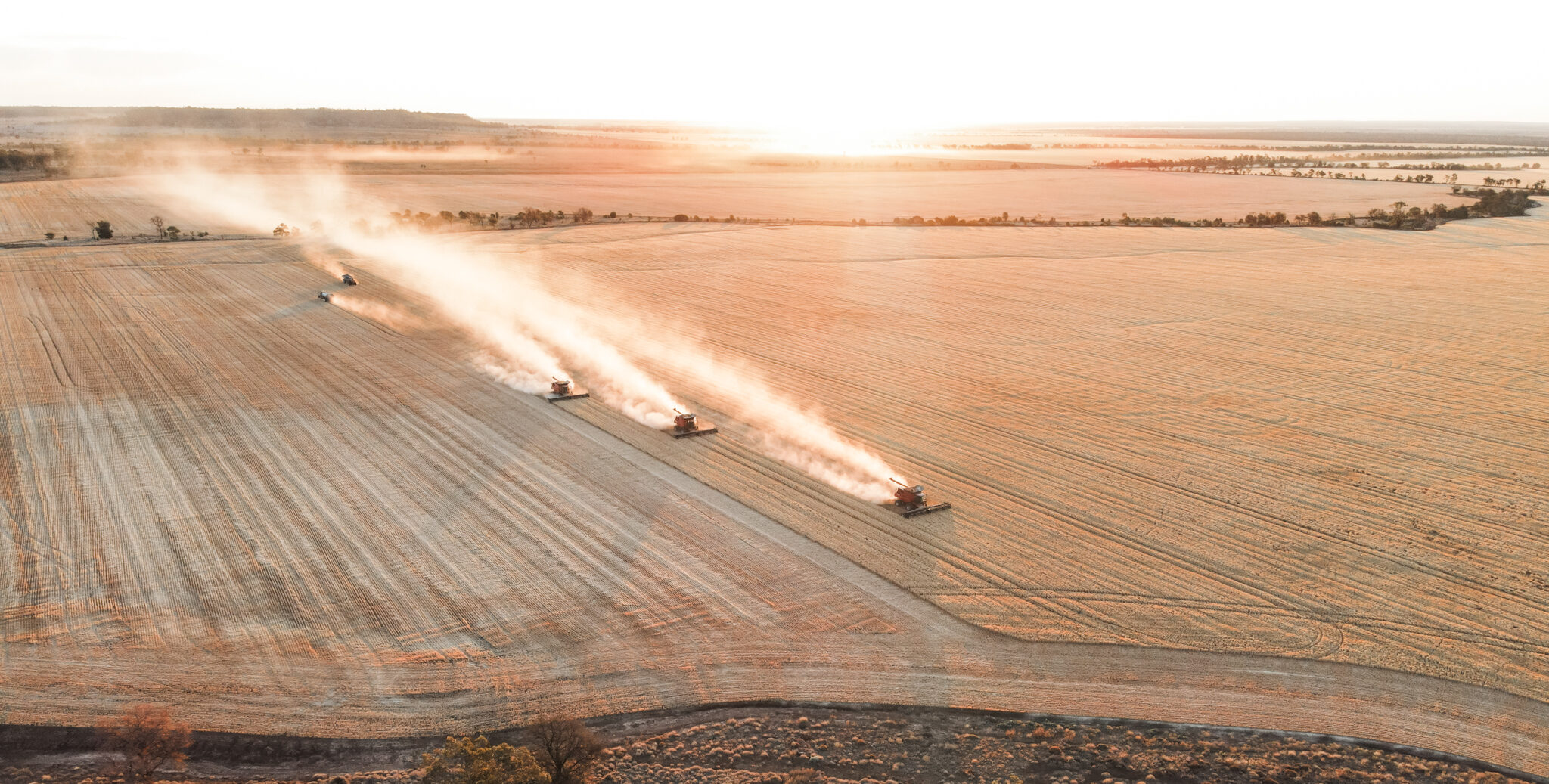 GrainCorp's 2024 Harvest Photo Competition - GrainCorp